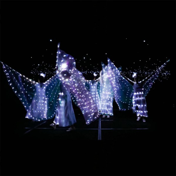 Led light fairy butterfly white wings for Stage performance for women ...